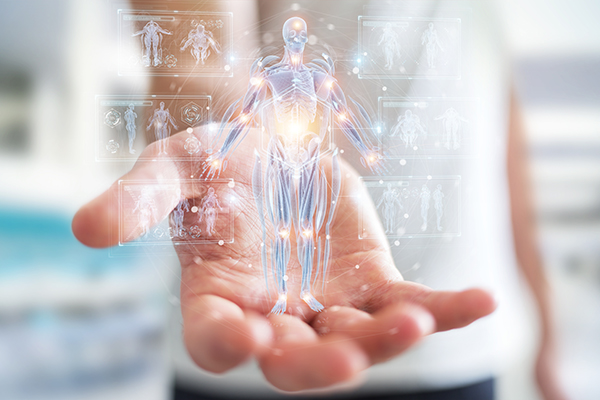Health and Wellness - MDS